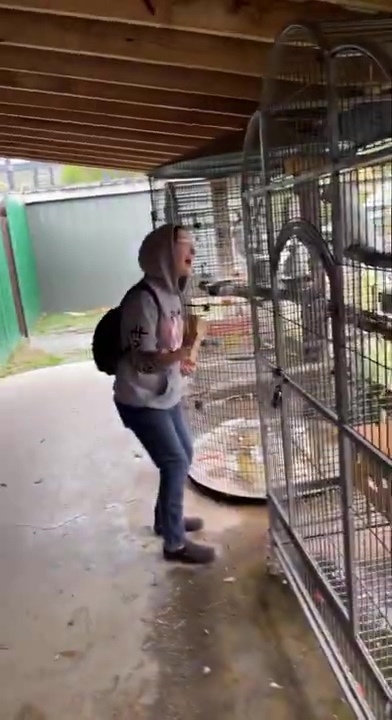 DUMPERT - Vrouw en vogel doen schreeuwen