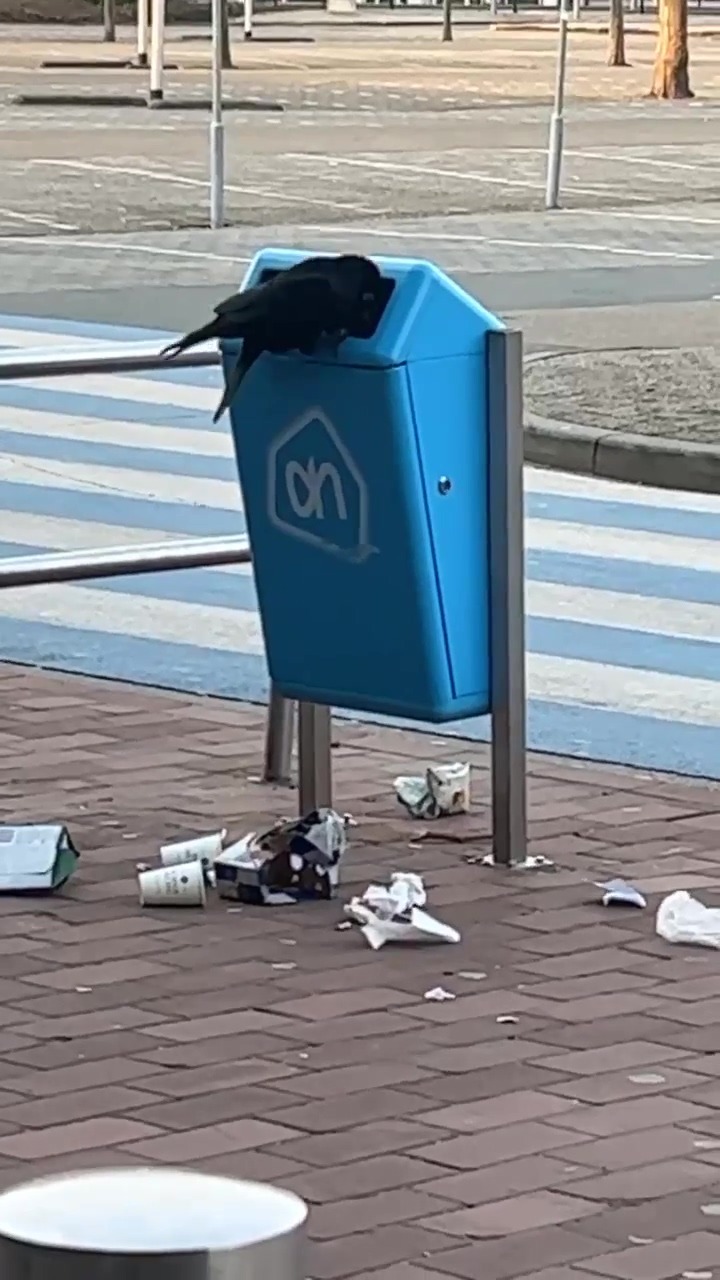 DUMPERT - Troep maken