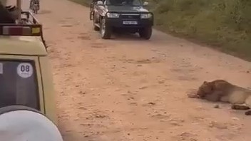 DUMPERT - Doe een backflip!