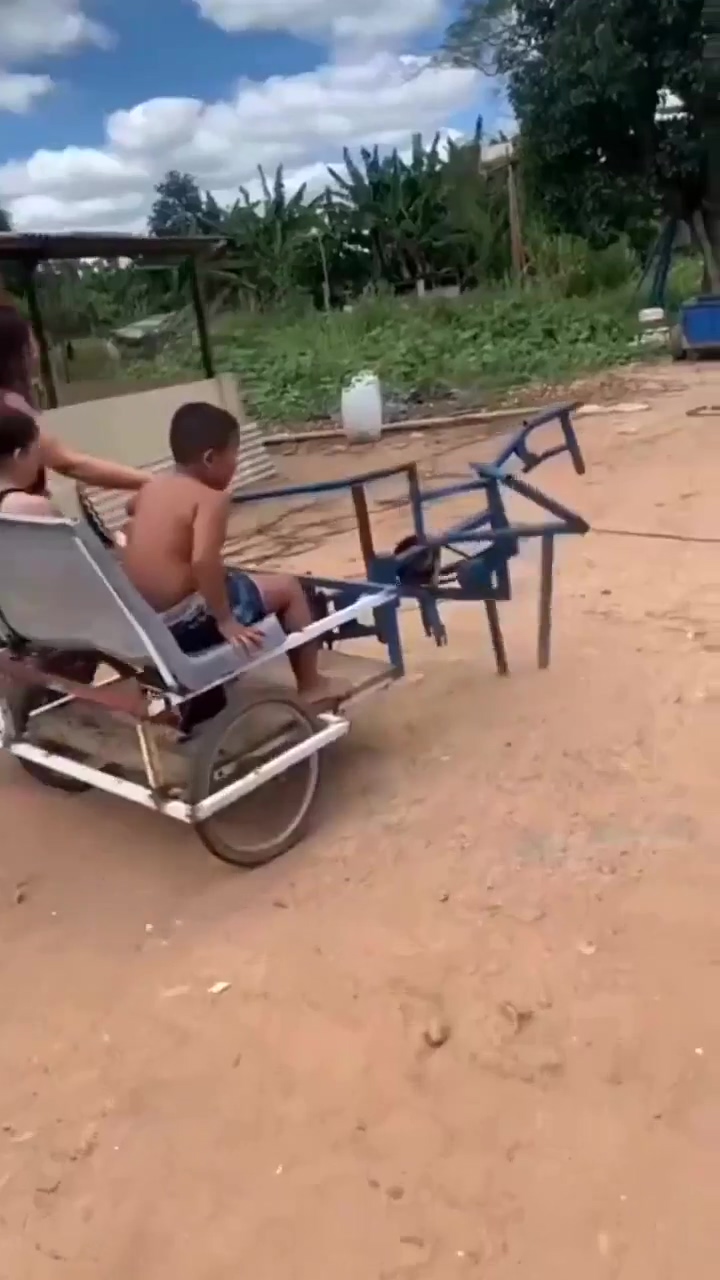 DUMPERT - Echt paard was te duur