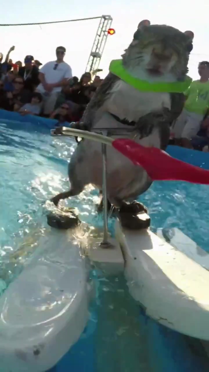 DUMPERT - Coolste eekhoorn ever ooit