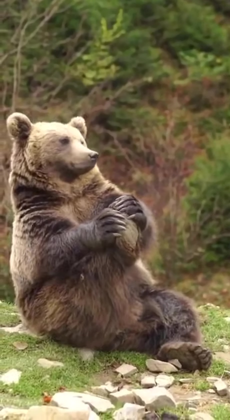 DUMPERT - Ff rekken en strekken