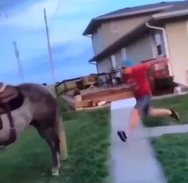 DUMPERT - Spring maar achterop