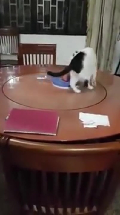 DUMPERT - Jamiroquai kat