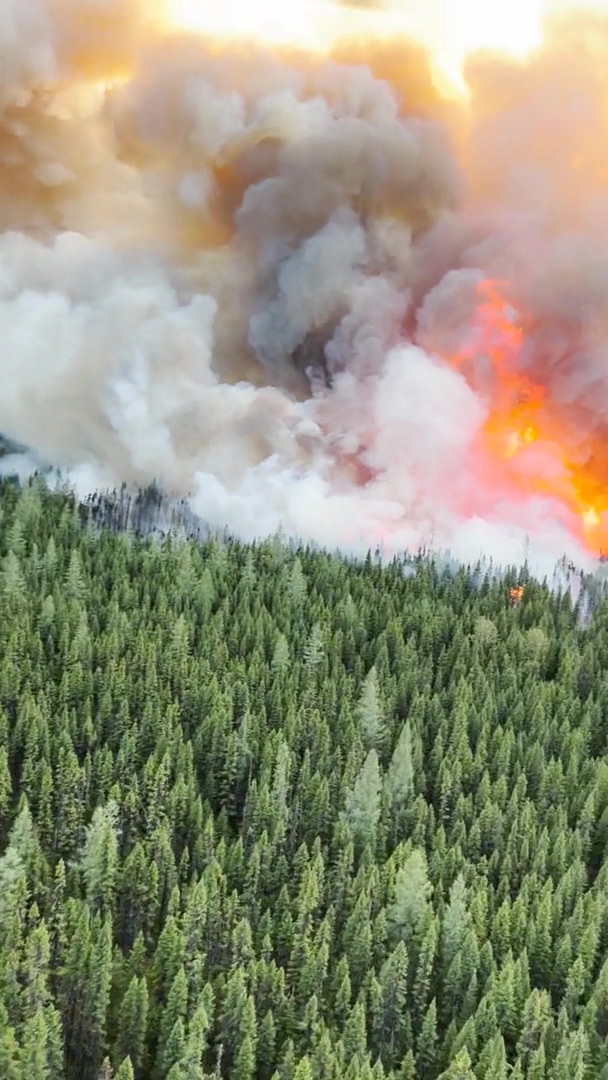 DUMPERT - Brandweer checkt bosbrand in Canada