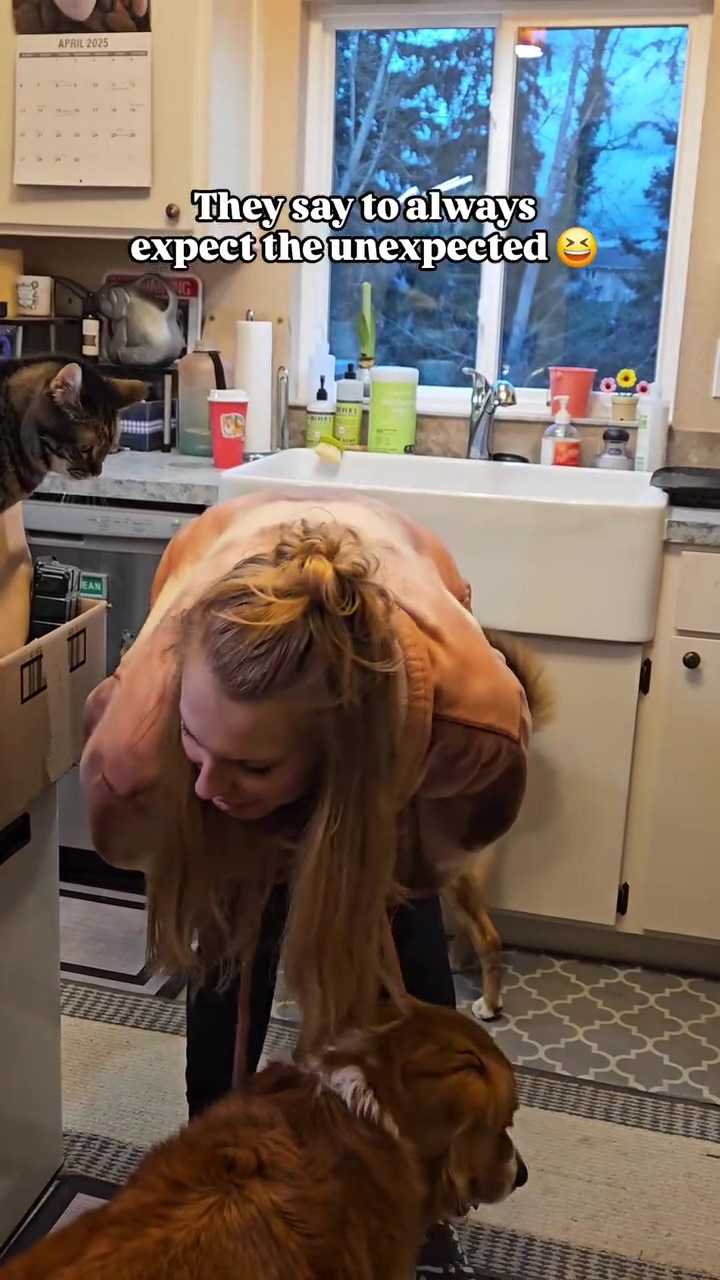 DUMPERT - Spring maar op mn rug