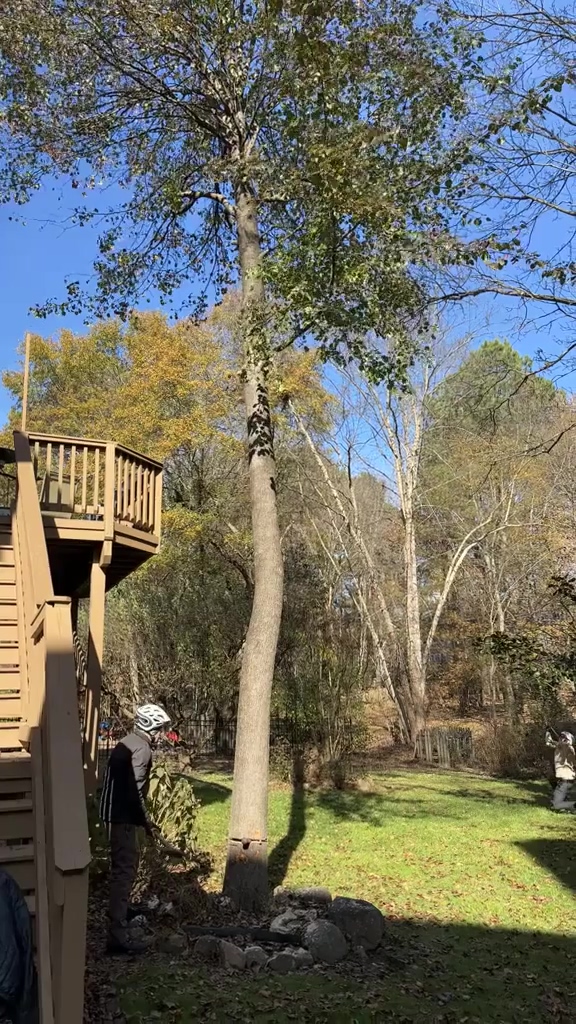 DUMPERT - Ok dus op timber moet je rennen