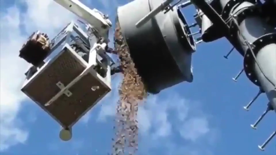 DUMPERT - Eekhoorn is druk bezig geweest