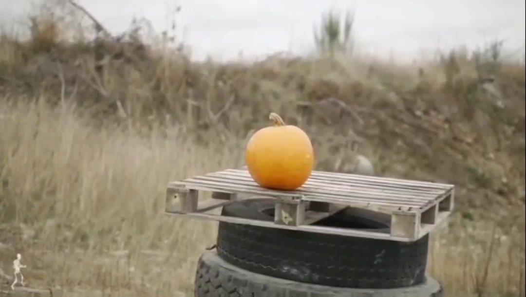 DUMPERT - YOU GOT HIMMMM!