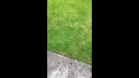 DUMPERT - Gozer pest vriendinnetje met Lord of The Rings-quotes