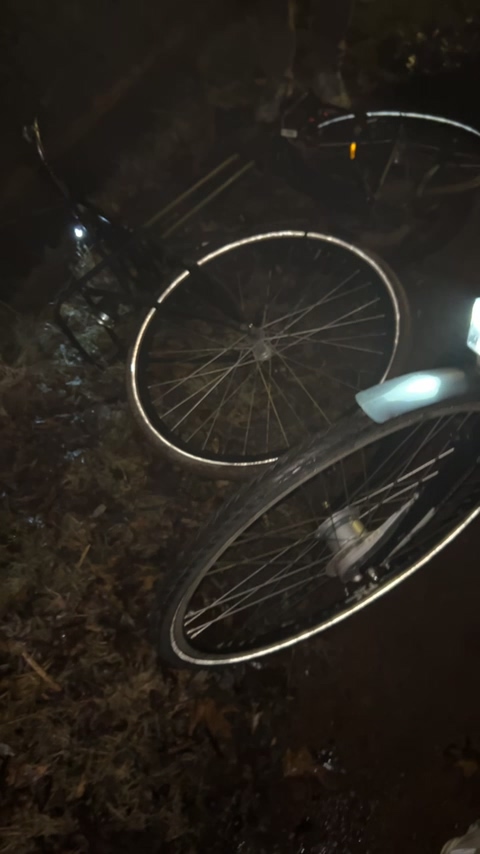 DUMPERT - Finn fiets de sloot in