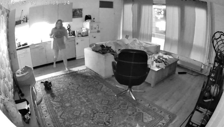 DUMPERT - Kat wil op tapijt kakken