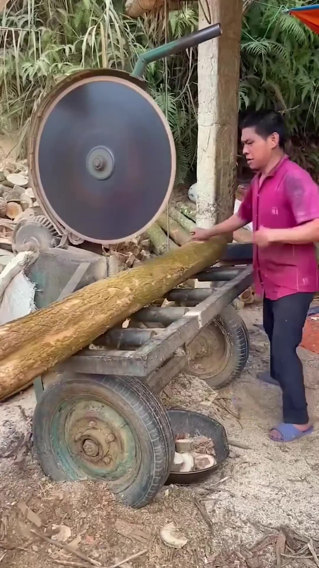 DUMPERT - 5 bier voor de houtzagerij