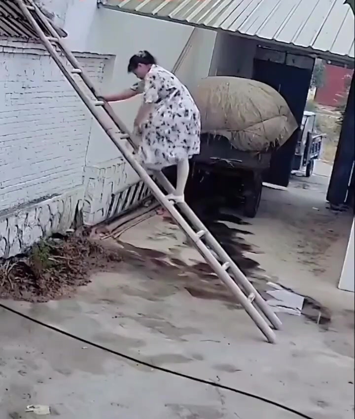 DUMPERT - Een vrouw en een ladder