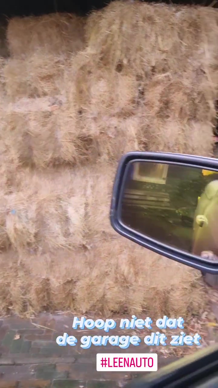 DUMPERT - Bas Nijhuis vergeet z'n raam dicht te doen