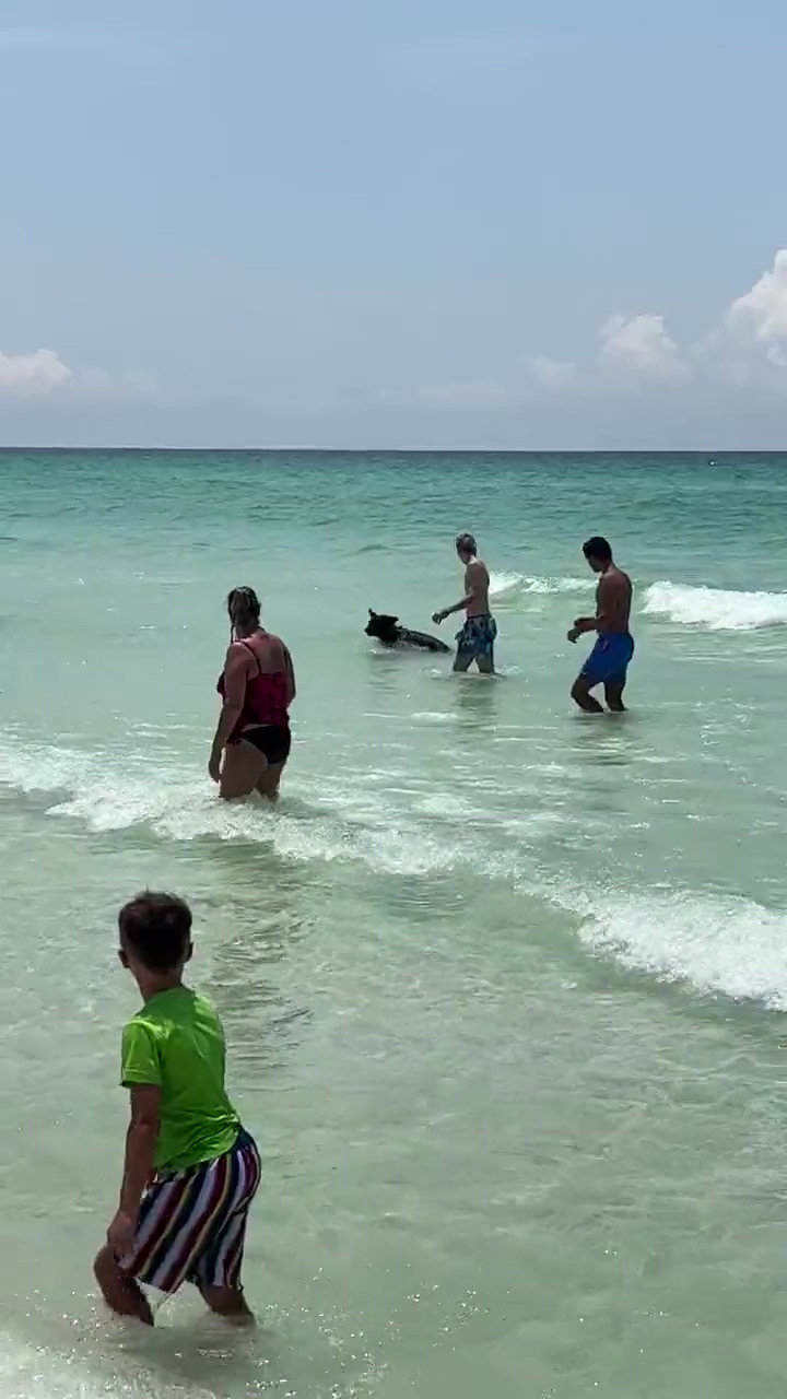 DUMPERT - Beregezellig dagje strand