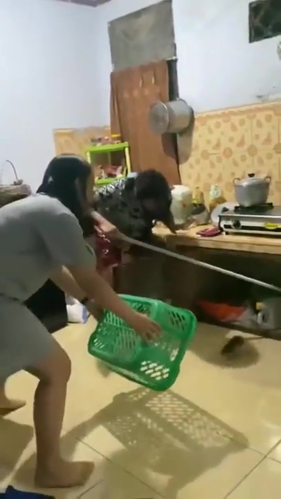 DUMPERT - Slimme meisjes vangen rat