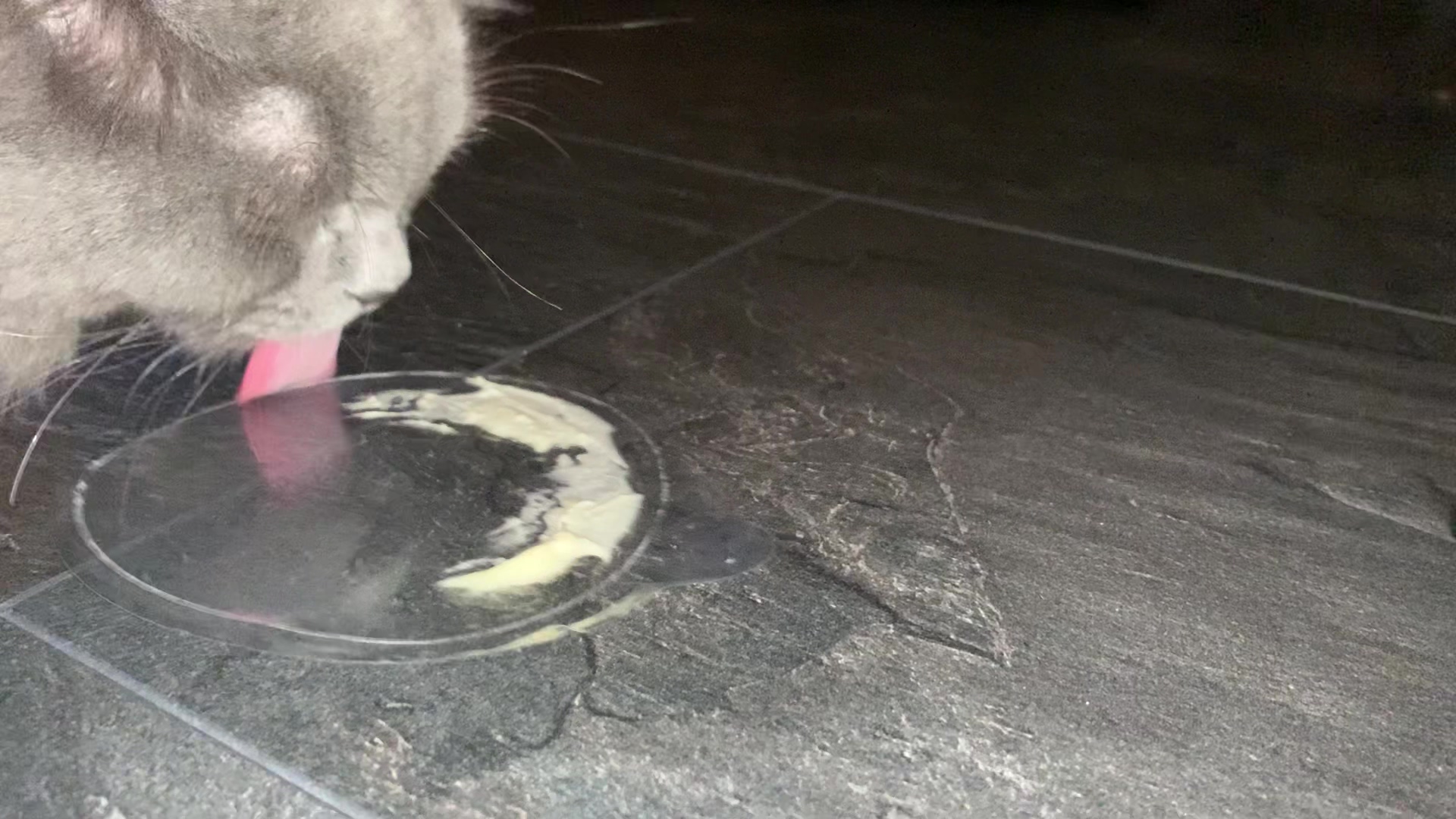 DUMPERT - Kat is stuk