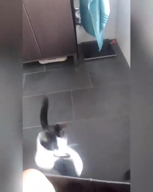 DUMPERT - Zit je te schijten