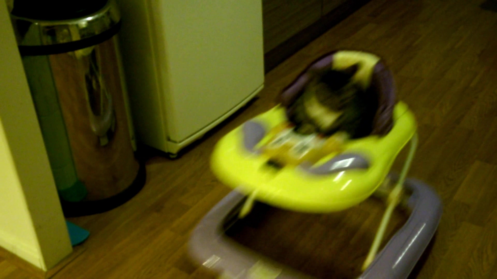 dumpert.nl - Cat car