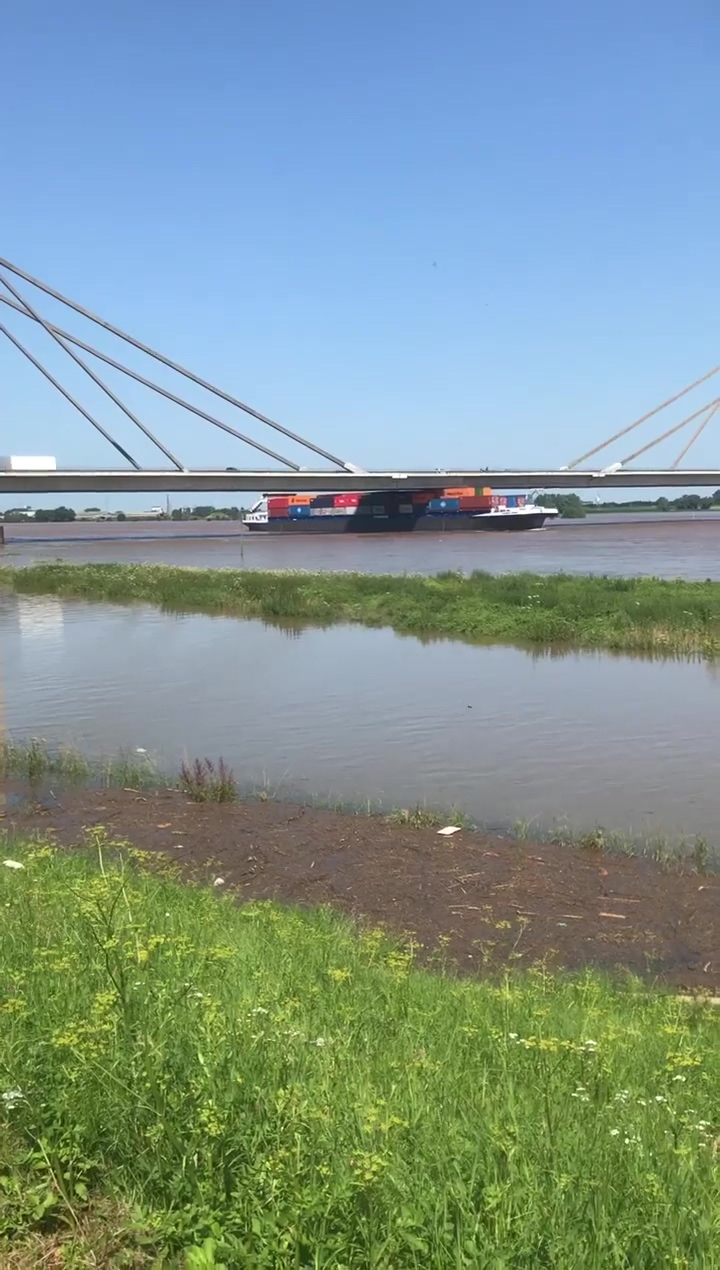 DUMPERT - Schipper met timmermansoog