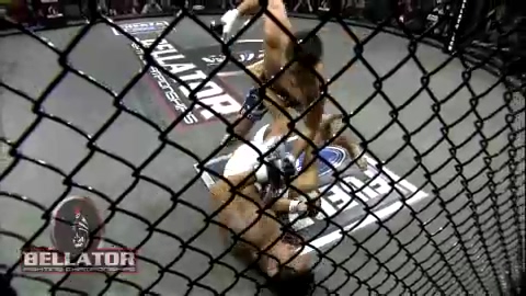 DUMPERT - KO door beenklem