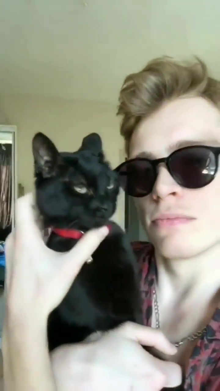 DUMPERT - Lieve kat he