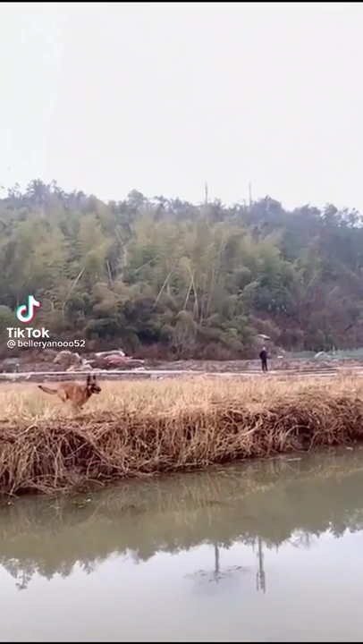 DUMPERT - Spring maar Fikkie!