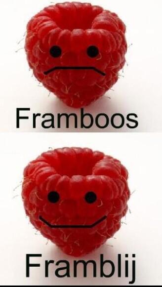 dumpert.nl - Framboos
