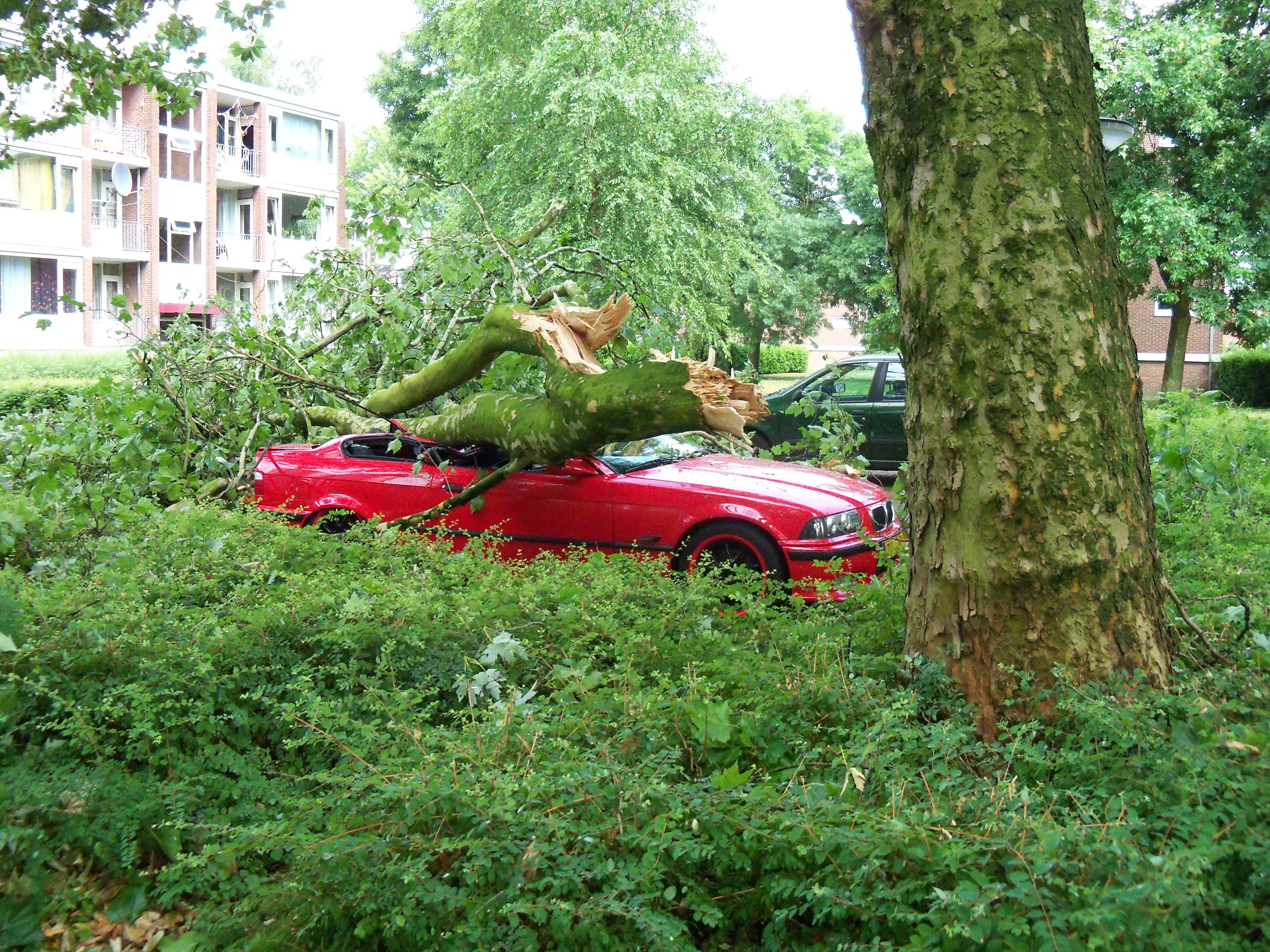 DUMPERT - Boom sloopt auto