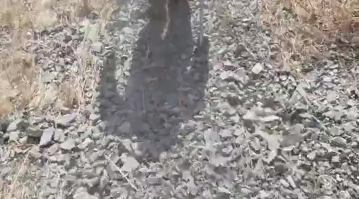 dumpert.nl - Berg met roltrap