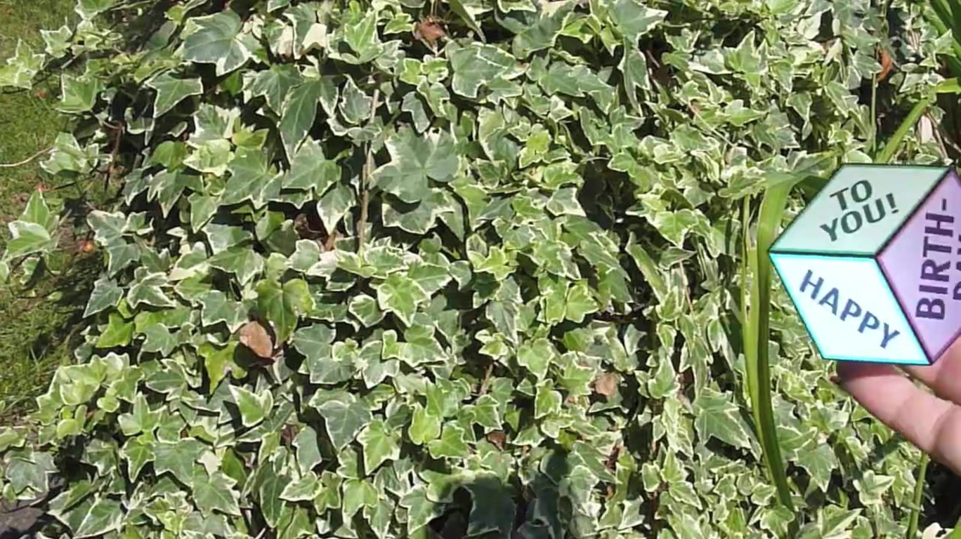 dumpert.nl - Magic Floating Cube