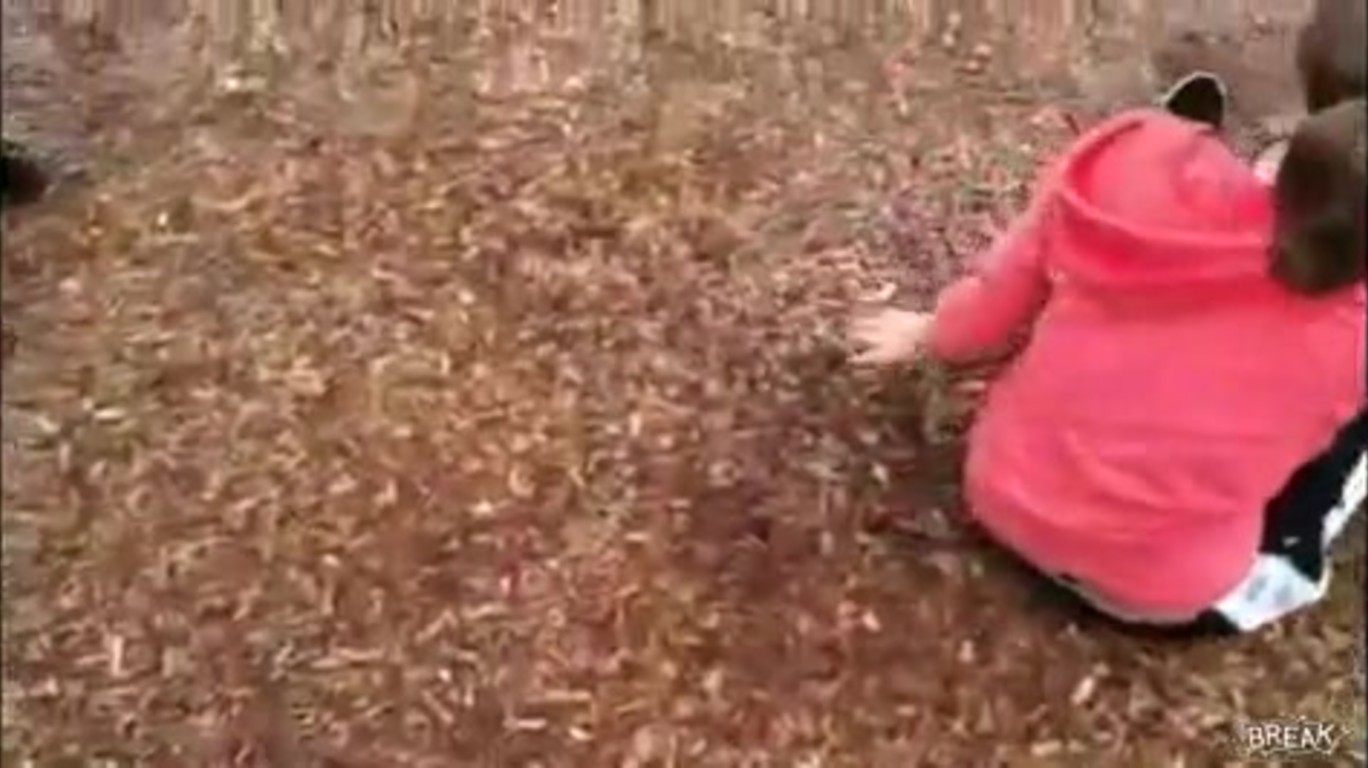 dumpert.nl - Draaimolen fail