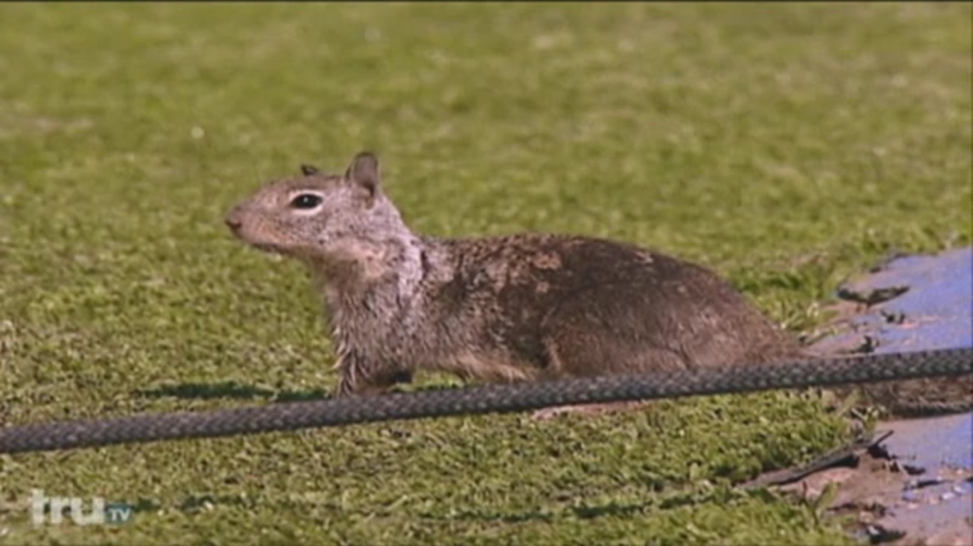 dumpert.nl - Wipeout faalhazen