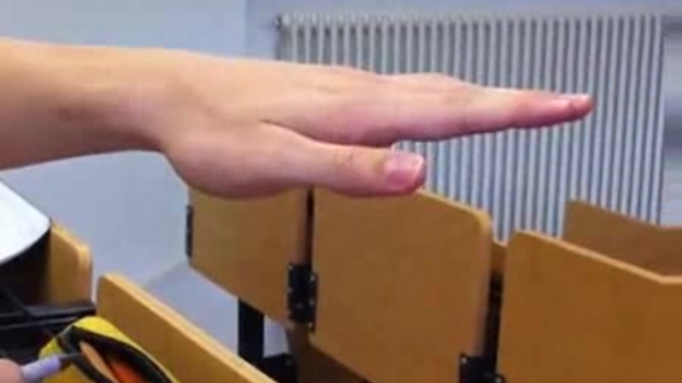 dumpert.nl - Kromme Vingers