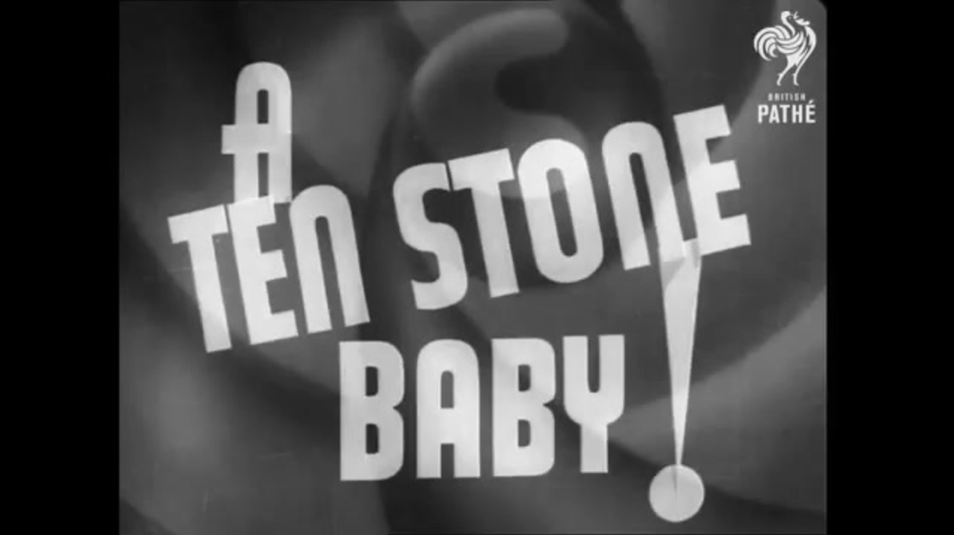 dumpert.nl - Ten Stone Baby (Teased With Chocolate)