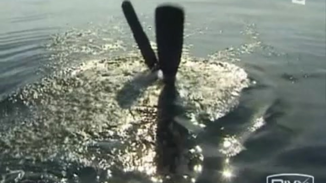 dumpert.nl - Michael Rutzen heeft cojones