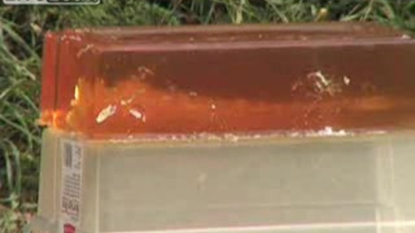 dumpert.nl - Ballistische Gel Test