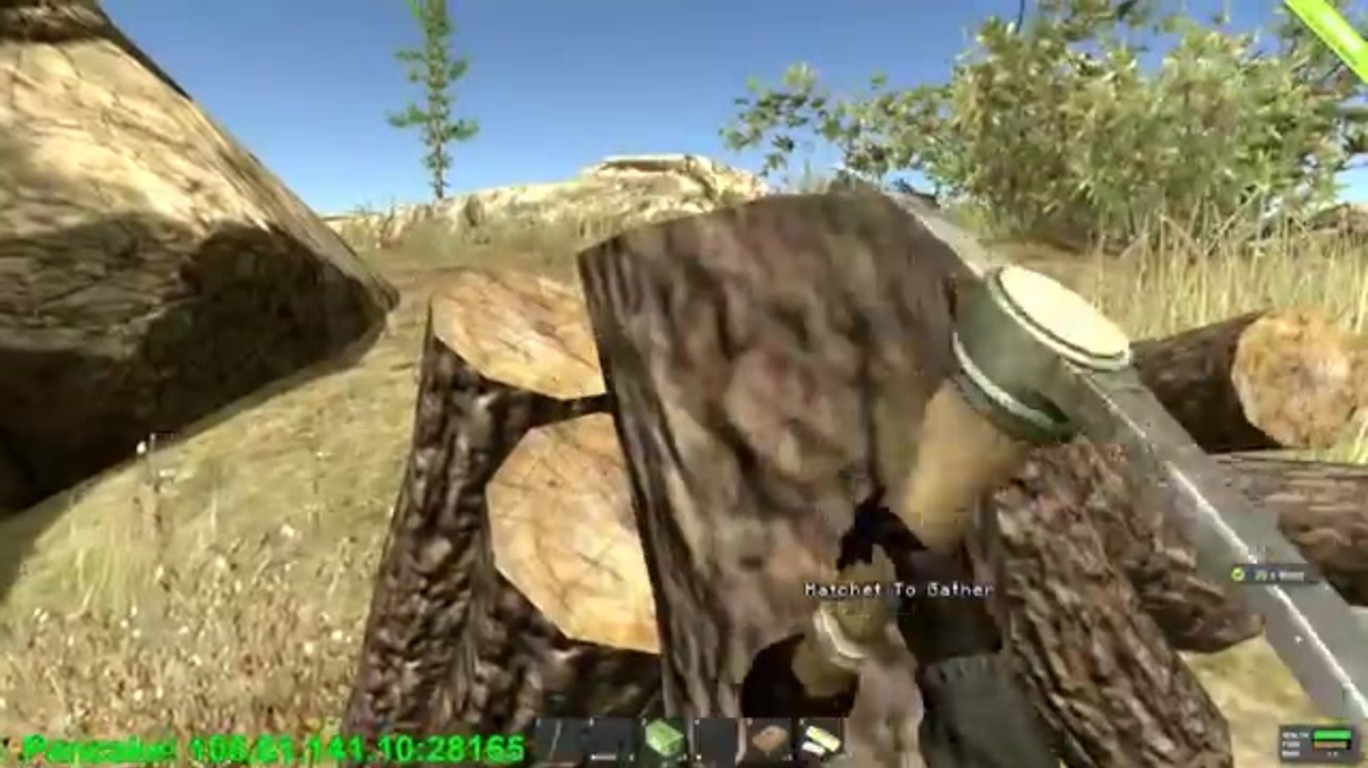 dumpert.nl - Online streaken