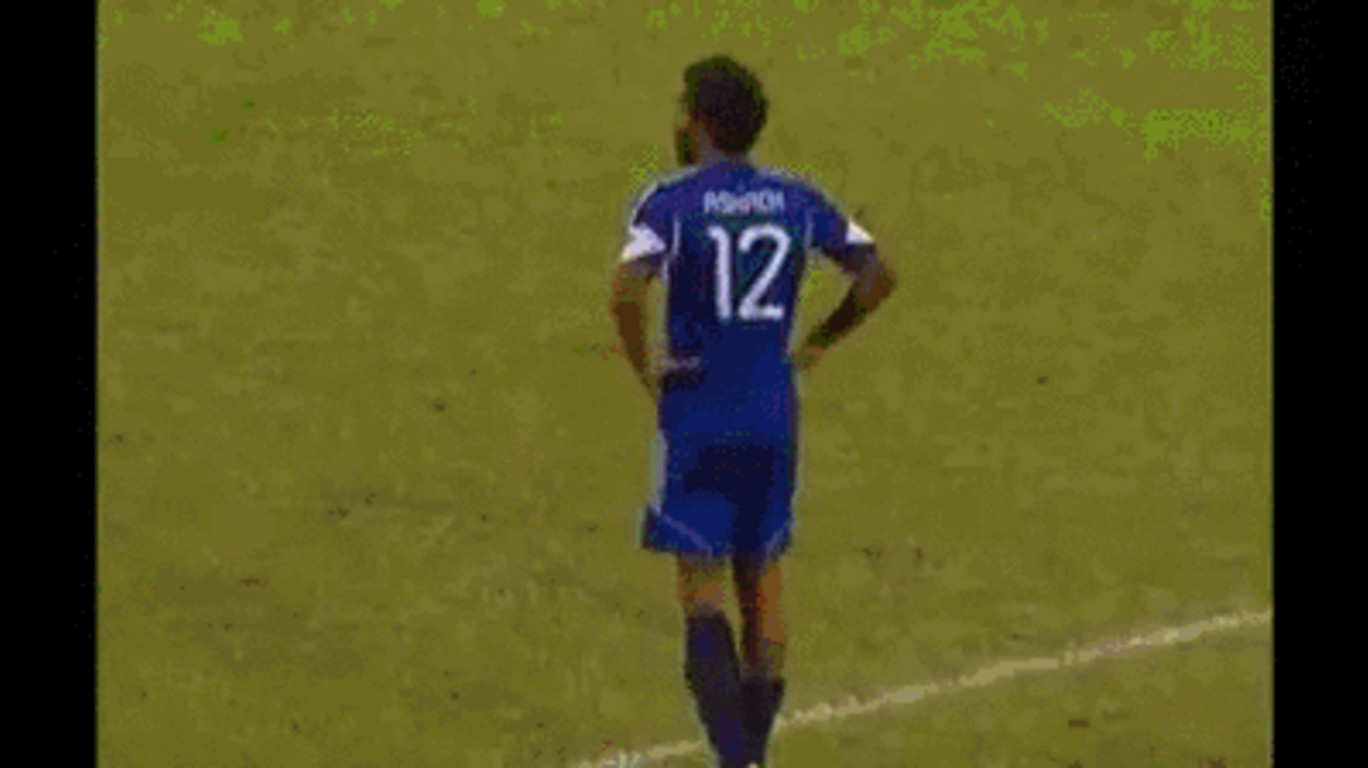 dumpert.nl - Ha Faal!