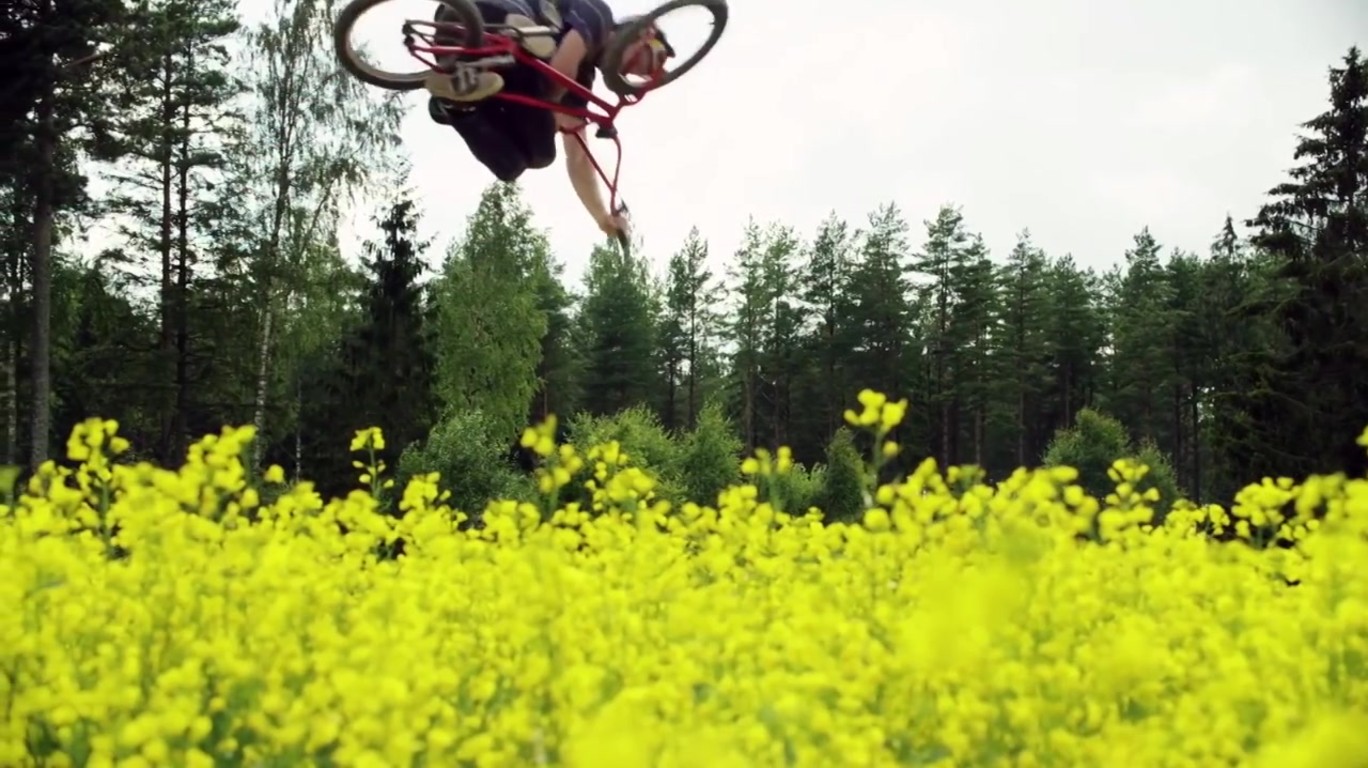 DUMPERT - Spring in het veld