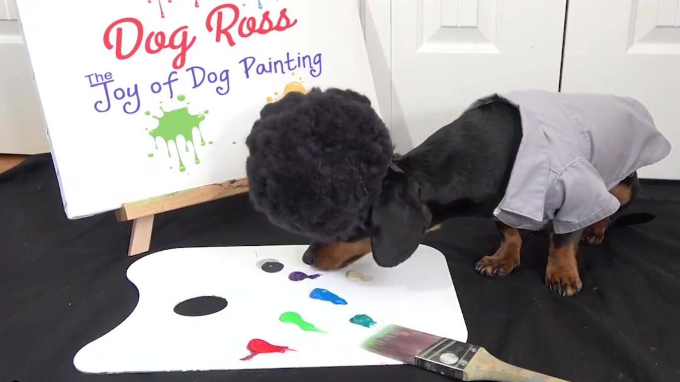 DUMPERT - Dog Ross maakt kunst