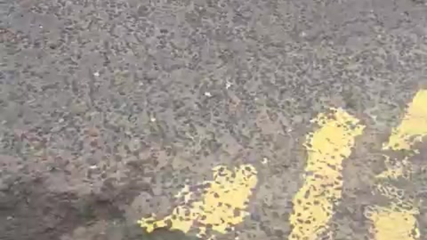 DUMPERT - Poep in de broek