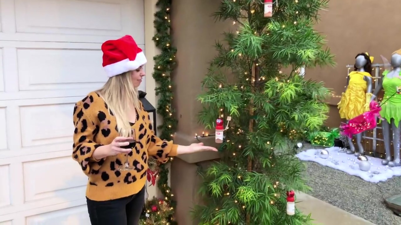 dumpert.nl - Winter Punderland