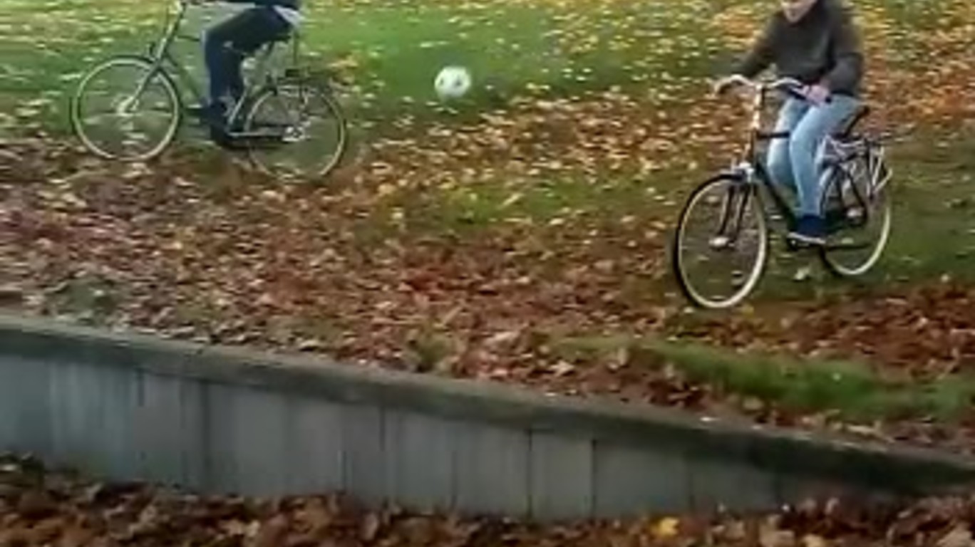 dumpert.nl - Stukje fietsen door de sloot