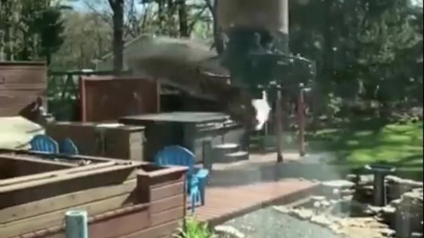 DUMPERT - Eekhoorn heeft iets ontdekt